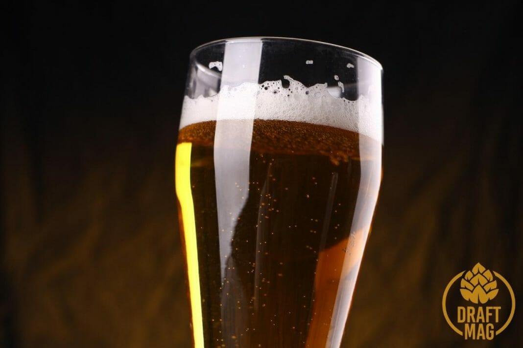 Electric Jellyfish IPA: A Review of the Top Beer for All Hop Heads