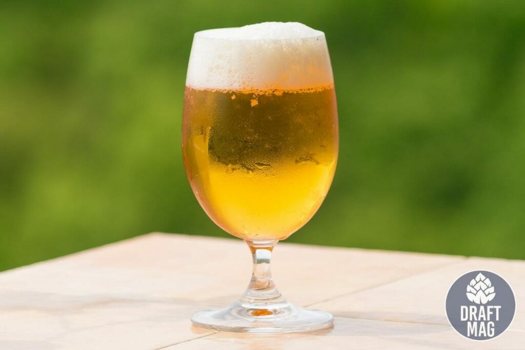 Best Summer Beers: The Most Exciting Beers This Summer Has To Offer