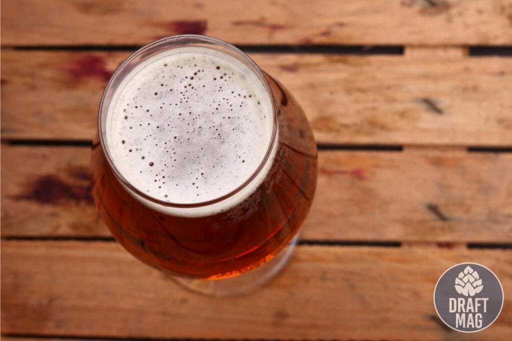 Sweetwater IPA: An Expert Review of This Citrusy Goodness in a Can