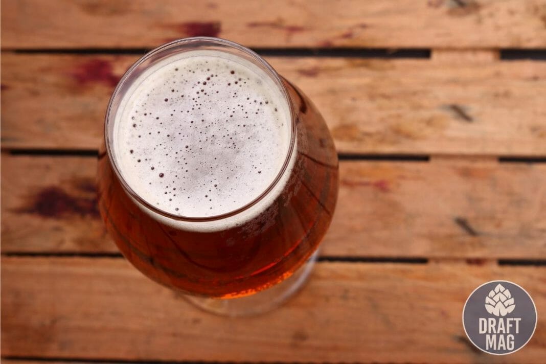 Sweetwater IPA: An Expert Review of This Citrusy Goodness in a Can