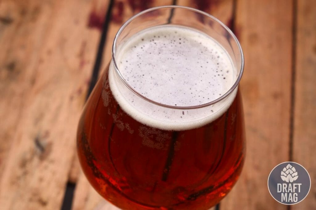 Sweetwater IPA: An Expert Review of This Citrusy Goodness in a Can