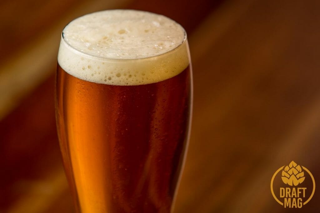 American Cream Ale - All About the Origin and Taste Profile