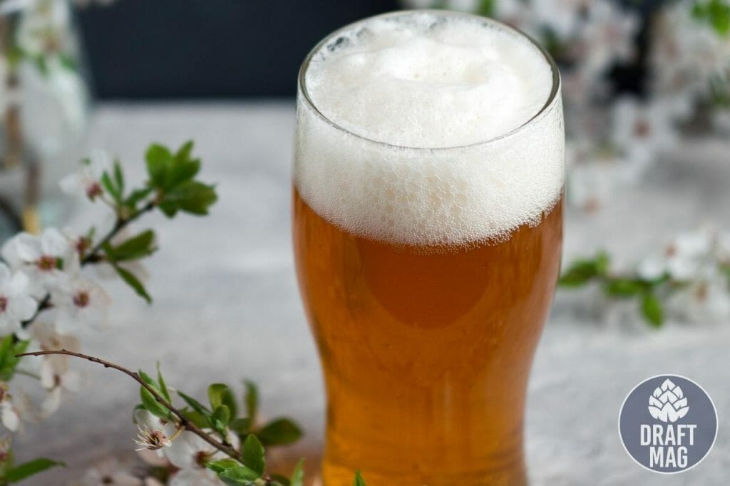 American IPA - What Makes This the Most Popular Craft Beer in the US
