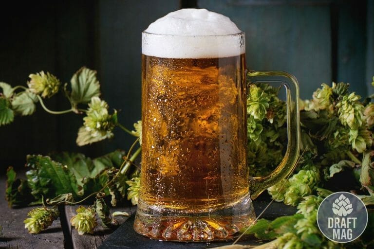 Weiss Beer: All About the Classical German Wheat Beer - Draft Mag