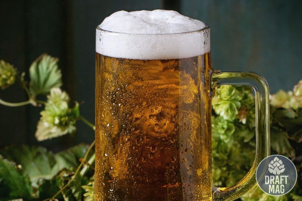 American Lager - All You Need To Know About This Pale Beer