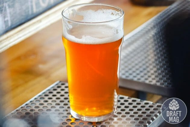 Ale vs Beer: A Complete Guide to Key Differences and Similarities