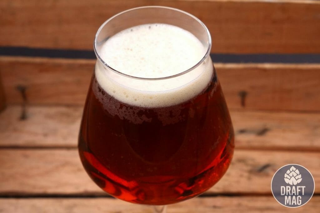 Beer Alternatives: A Guide to Trending Replacement for Beer