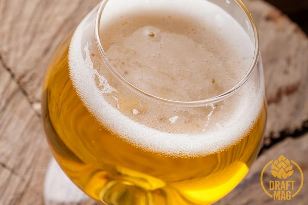 What Does Beer Smell Like? A Guide to the Most Common Beer Aromas