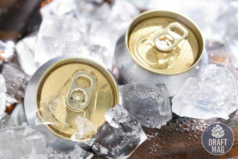 Busch vs Busch Light: A Review of America’s Most Popular Brews