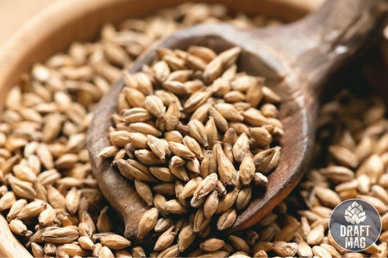 Dextrin Malt: What Are the Various Types and Their Use in Beers