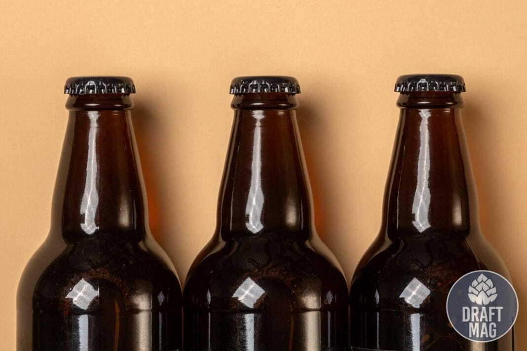 Famosa Beer Review: Classic Example of a Great American Lager