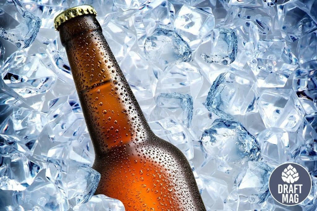 Pliny the Elder Beer - A Comprehensive Review of This Double IPA