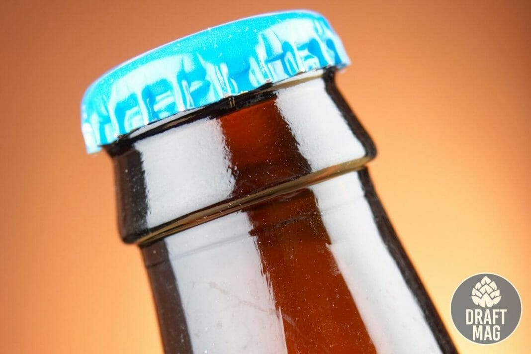 Samuel Adam Cold Snap - Everything About This Spring Beverage