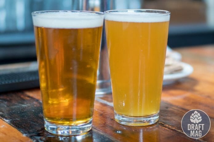 Session IPA Recipe: Your Complete Guide to Bright and Hoppy Brews