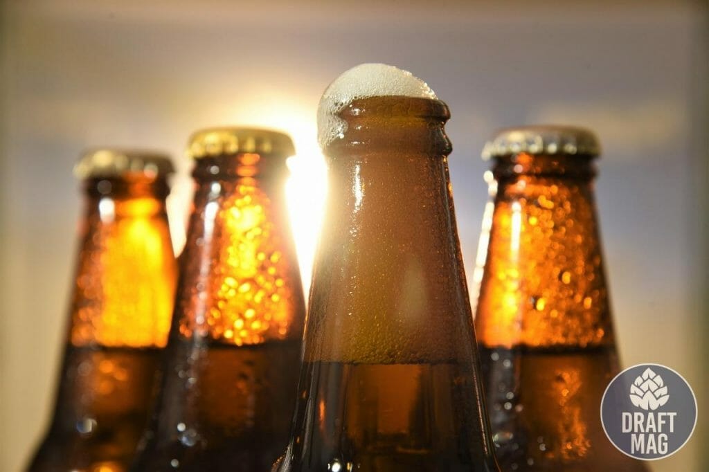 Michelob Golden Light Beer: Rich Light Lager With Adjuncts