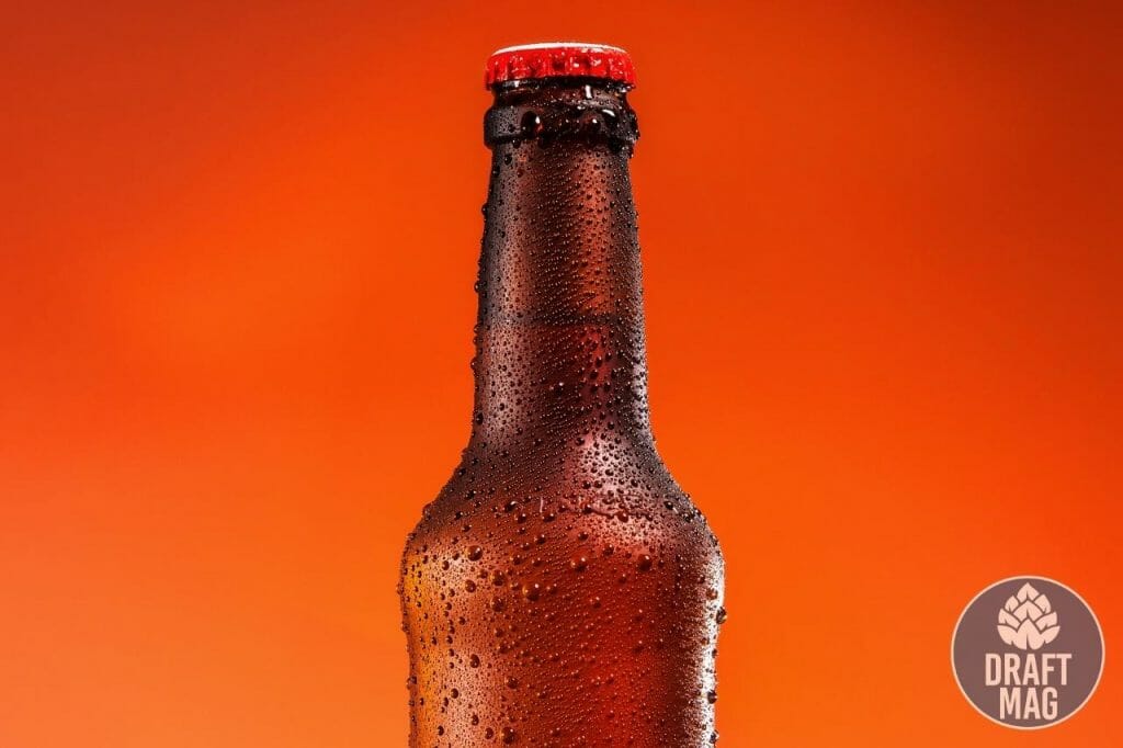 Alaskan Amber: A Complete Review of This German-style Alt-like Beer