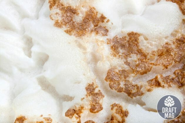 How Long to Ferment Beer - A Timeline Guide To Fermenting