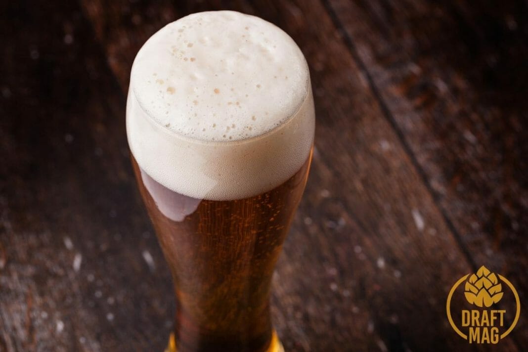 American Cream Ale - All About the Origin and Taste Profile