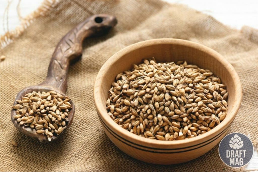 Dextrin Malt: What Are the Various Types and Their Use in Beers