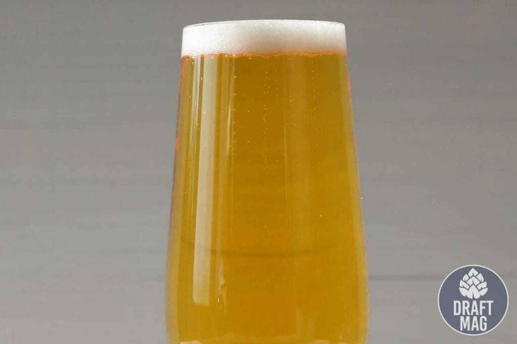 Low Calorie IPA: A Guide to the Top Choices That Still Taste Great