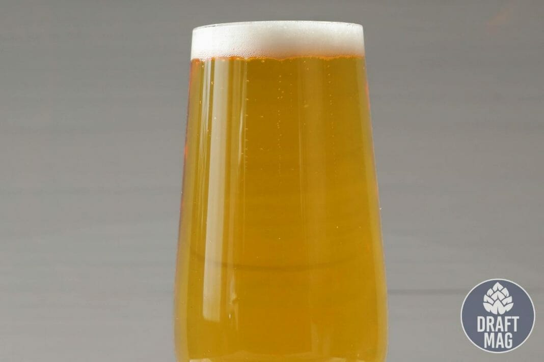 Low Calorie IPA: A Guide to the Top Choices That Still Taste Great