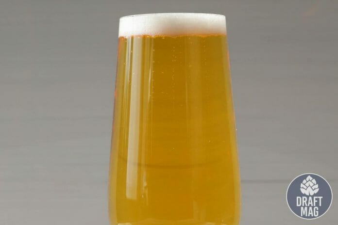 Low Calorie IPA: A Guide to the Top Choices That Still Taste Great