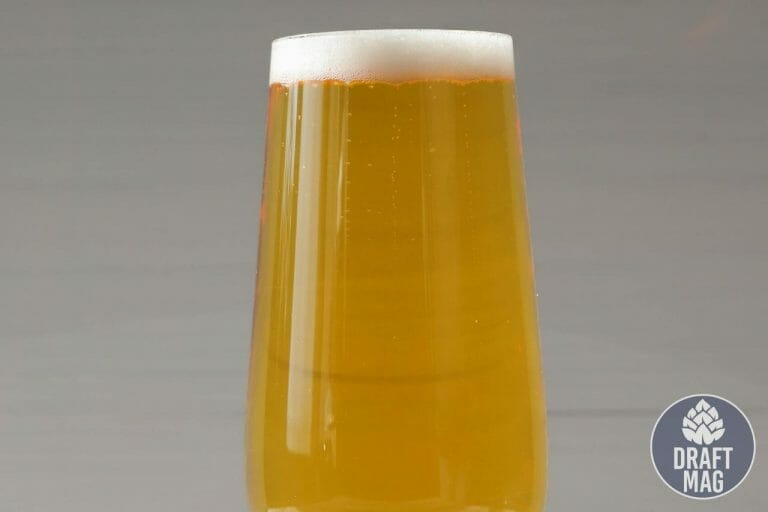 Low Calorie IPA: A Guide to the Top Choices That Still Taste Great