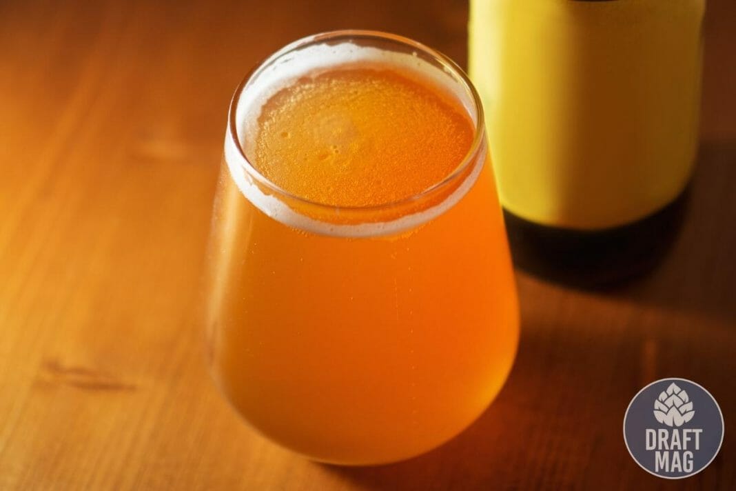 Yellow Jacket Beer: What Is It and How Did It Get Its Name?