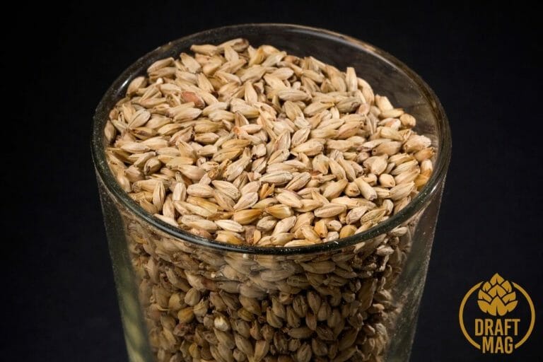 How to Malt Barley - A Step-by-Step Guide to Perfect Beer Malts