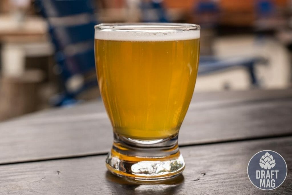 Session IPA Recipe: Your Complete Guide to Bright and Hoppy Brews