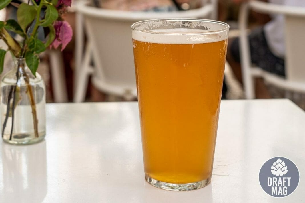 Mexican Lager Recipe: Easy Guide To Making This Delicious Beer