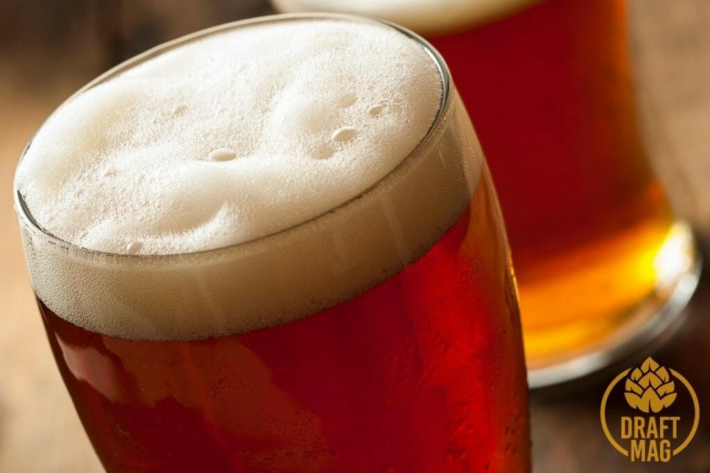 What Does Beer Taste Like: The Unique and Diverse Flavors of Beer