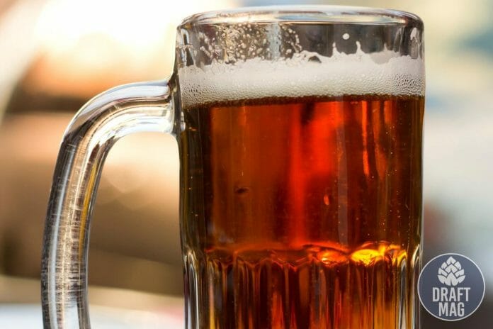 Dutch Beer: A Complete Guide To Traditional and New-age Beers