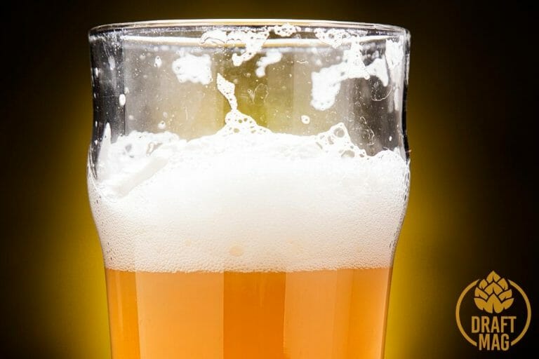 What Does Beer Taste Like: The Unique and Diverse Flavors of Beer