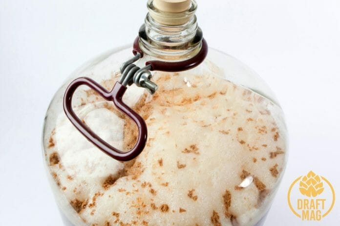 Fermzilla: An All-round Guide to These Top Fermenters