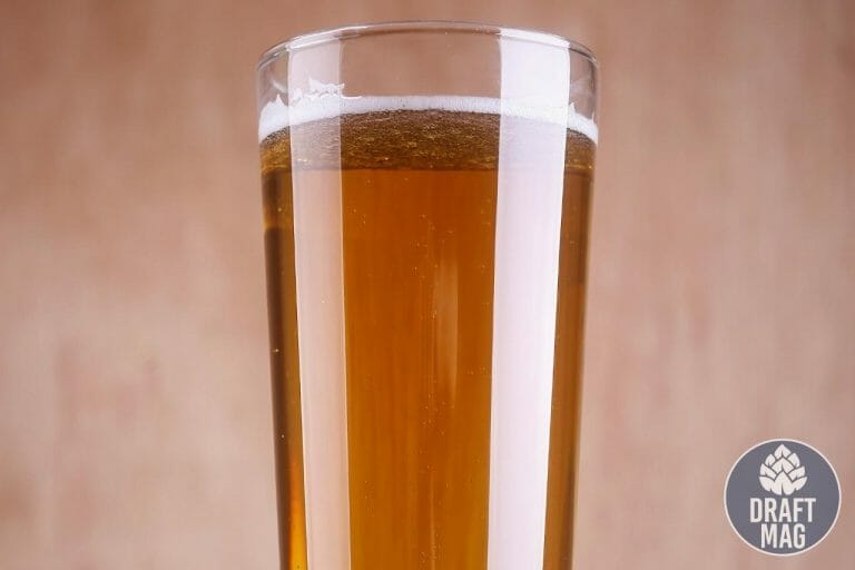 What Does Beer Taste Like: The Unique and Diverse Flavors of Beer