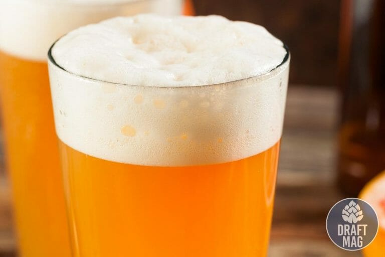 What Does Beer Taste Like: The Unique and Diverse Flavors of Beer