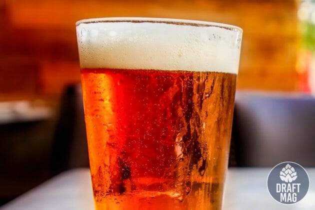 What Does Beer Taste Like: The Unique and Diverse Flavors of Beer