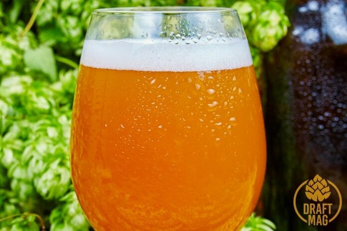 What Does Beer Taste Like: The Unique and Diverse Flavors of Beer