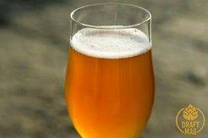 What Does Beer Taste Like: The Unique and Diverse Flavors of Beer