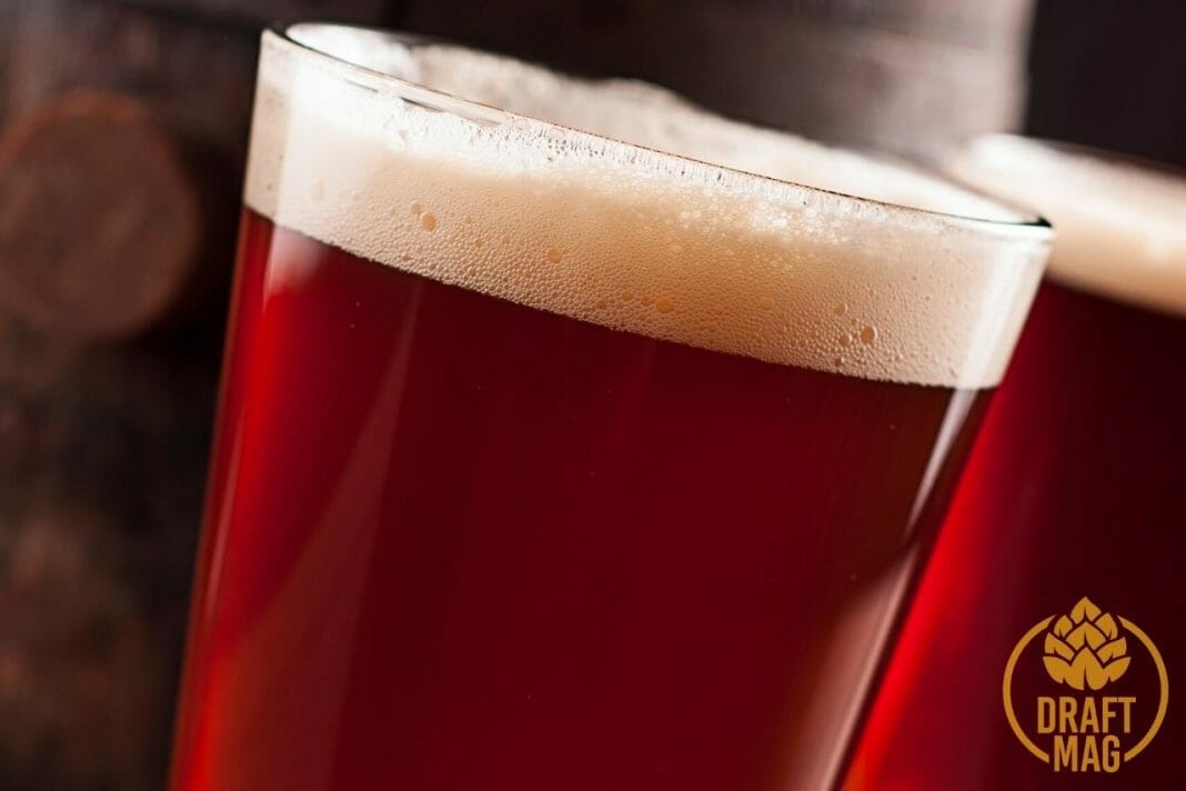 What Does Beer Taste Like: The Unique and Diverse Flavors of Beer