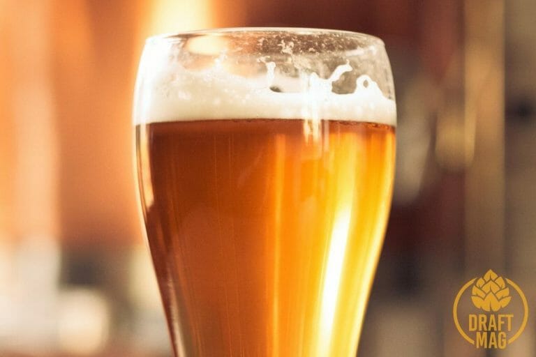 What Does Beer Taste Like: The Unique and Diverse Flavors of Beer