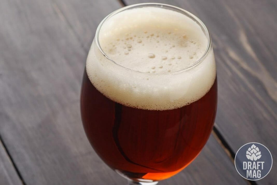 Kill Kenny Beer - Why You Shouldn’t Miss Out on This Beer