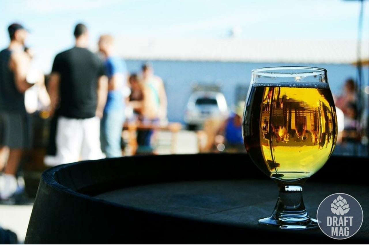 Korean Beer: Top Beers You Have To Try On Your Next Visit to Korea