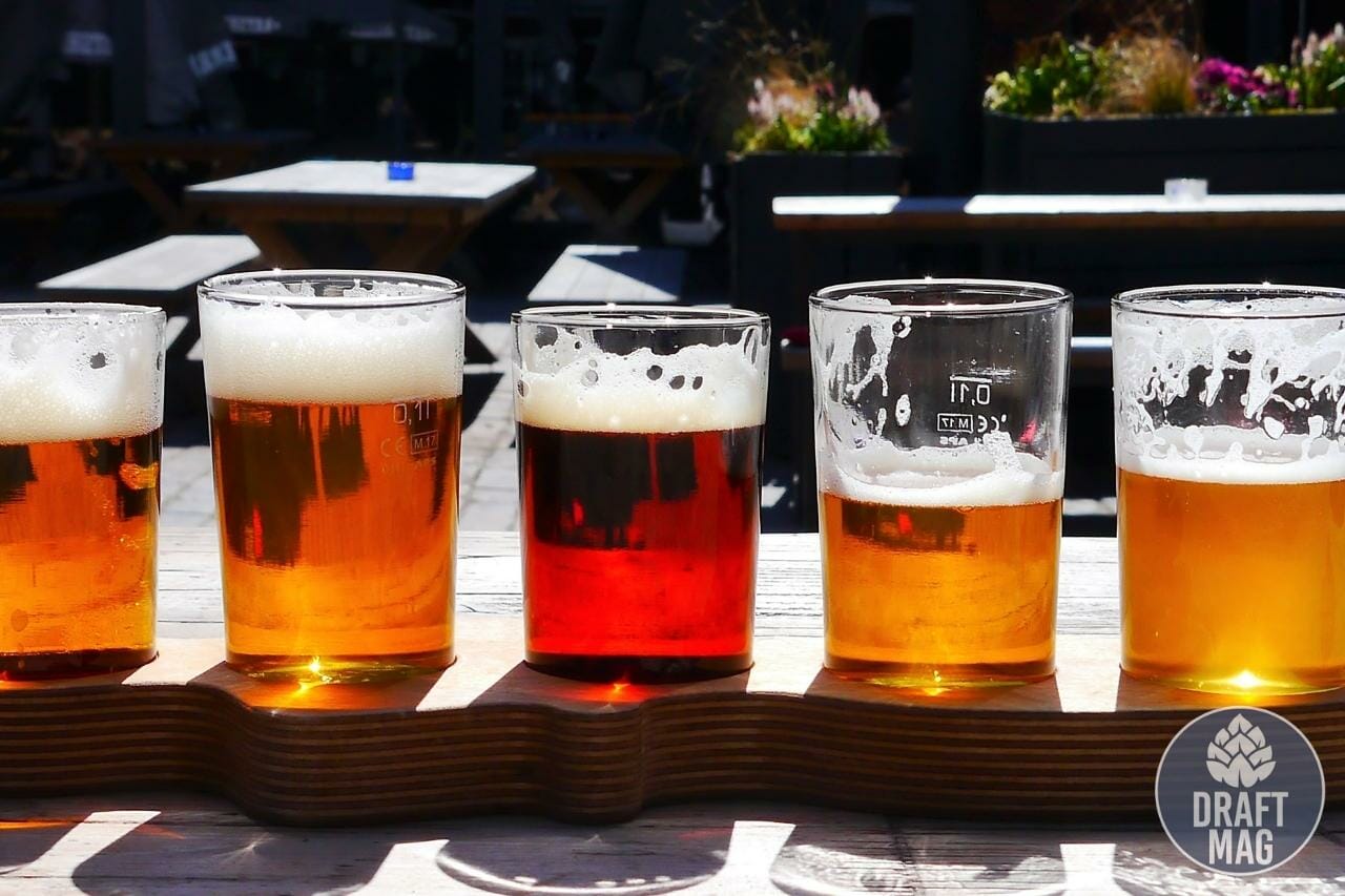 Polish Beer: A List of the Best Beers From Poland You Must Try