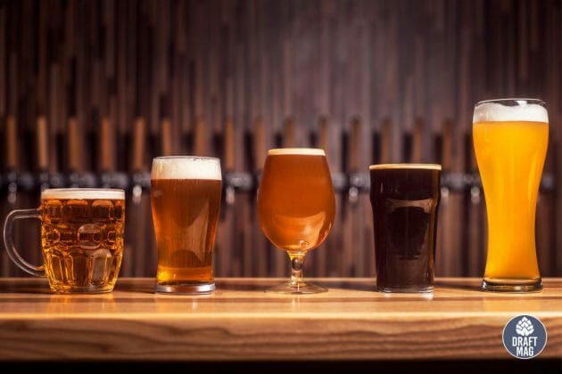 Ale vs Beer: A Complete Guide to Key Differences and Similarities
