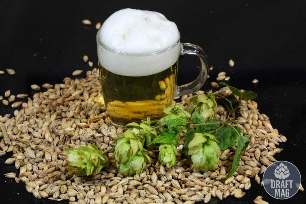 Funny Beer Names That Are Guaranteed To Give You a Big Laugh