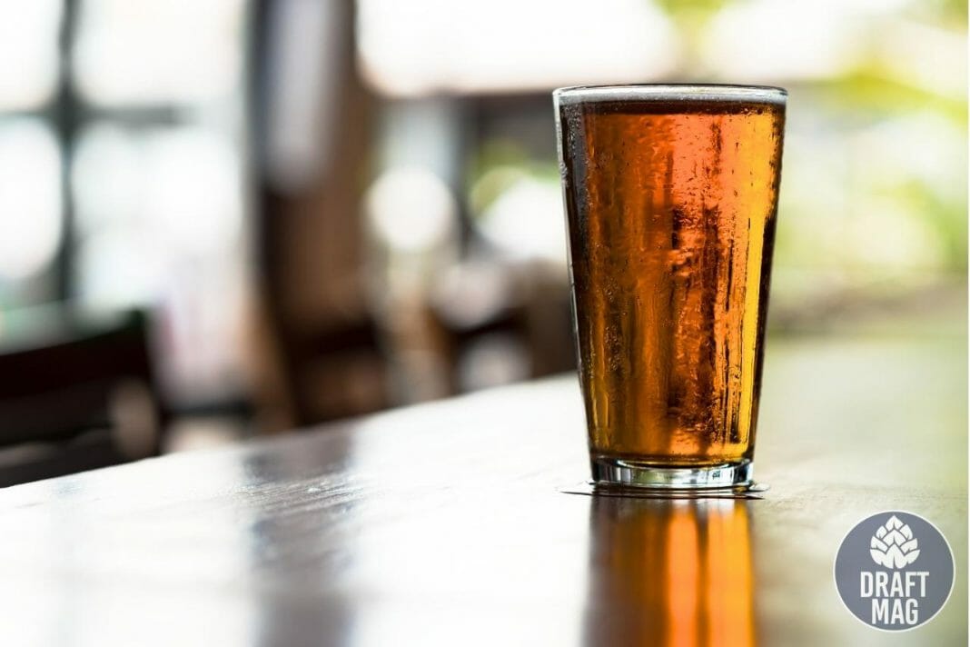 Polish Beer: A List of the Best Beers From Poland You Must Try