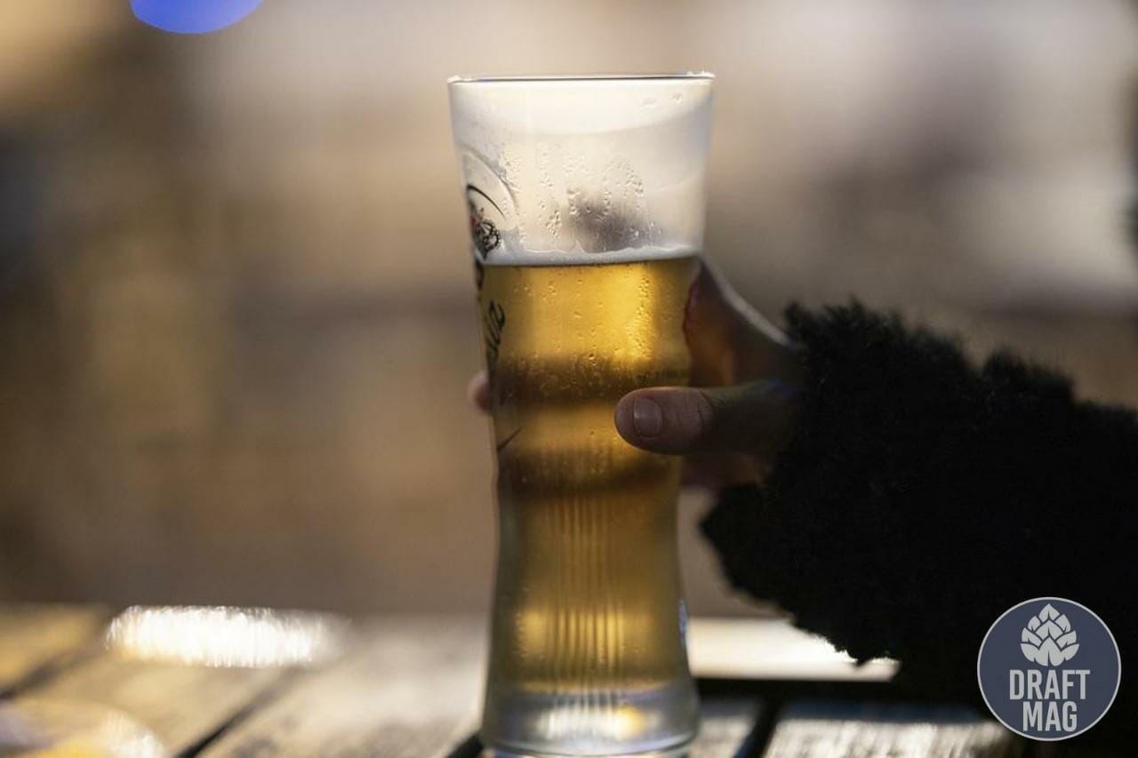 Polish Beer: A List of the Best Beers From Poland You Must Try