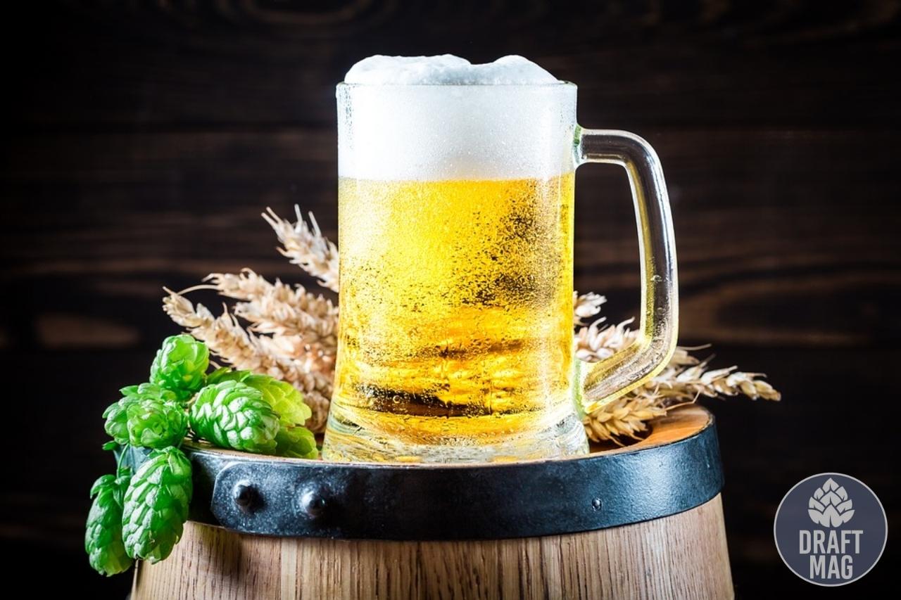 Korean Beer: Top Beers You Have To Try On Your Next Visit to Korea